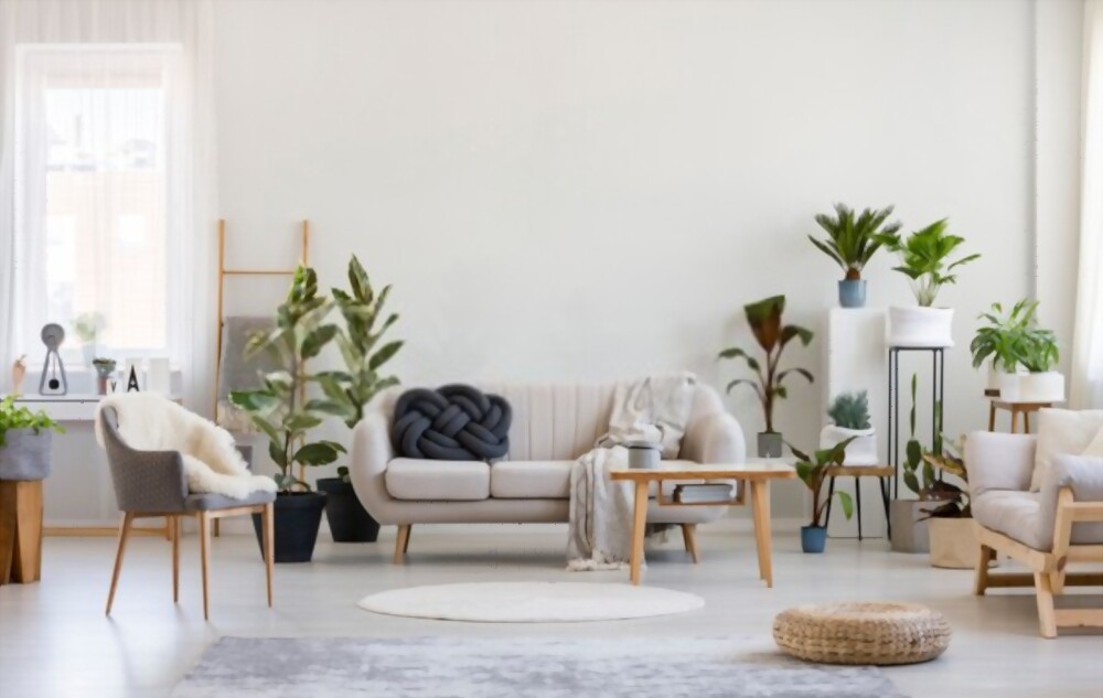 Proyectos - Plomeria expres geófono digital